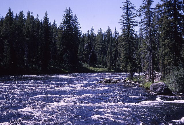DIY Guide to Fly Fishing Bechler River in Yellowstone National Park ...