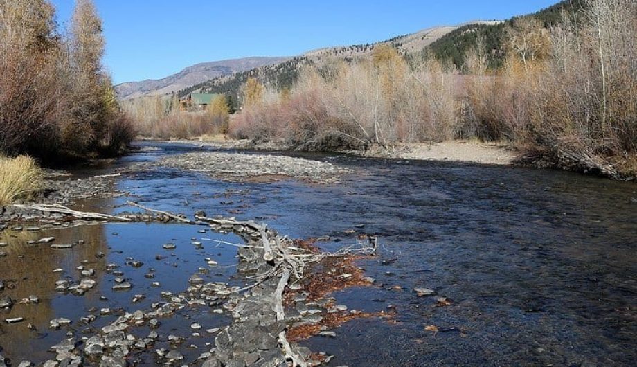 DIY Guide to Fly Fishing the Frying Pan River in Colorado | DIY Fly Fishing