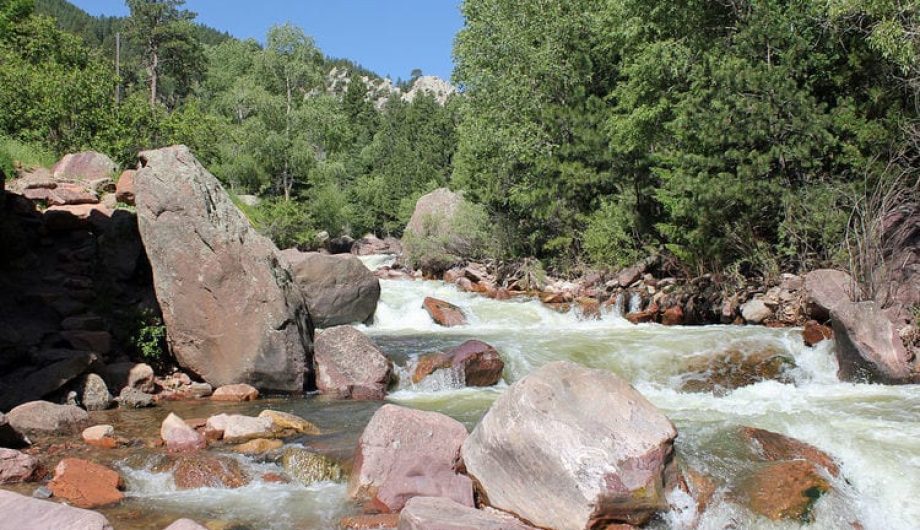 DIY Guide to Fly Fishing the Frying Pan River in Colorado | DIY Fly Fishing