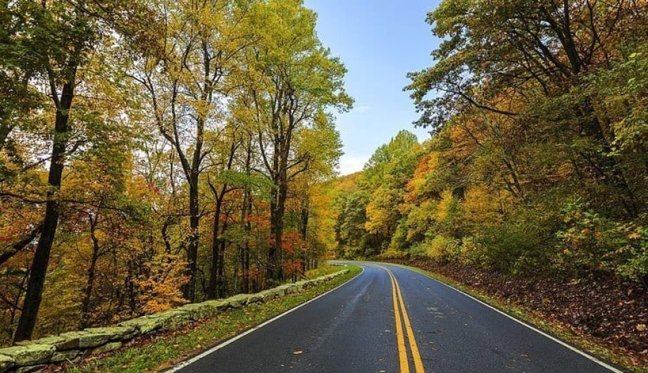 DIY Guide to Fly Fishing in Zion National Park | DIY Fly Fishing