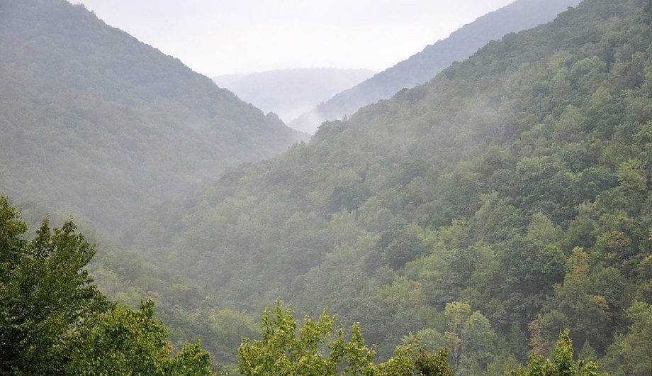 DIY Guide to Fly Fishing Bushkill Creek in Southeast Pennsylvania | DIY ...