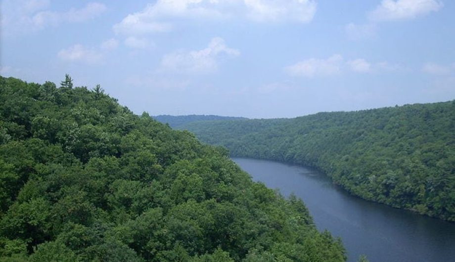 DIY Guide to Fly Fishing Spring Creek in Pennsylvania | DIY Fly Fishing