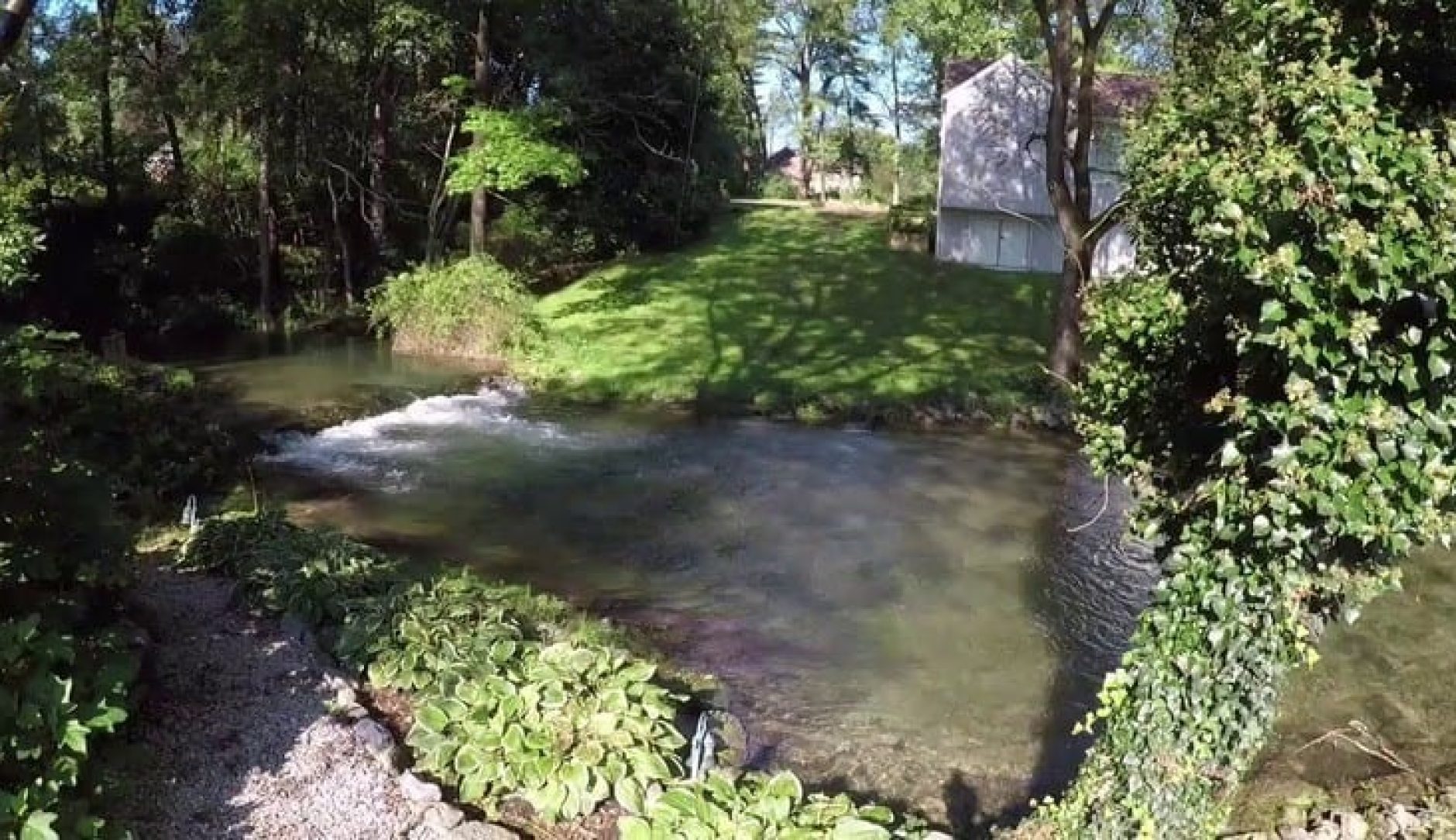 DIY Guide to Fly Fishing Falling Spring Branch Creek in South Central ...