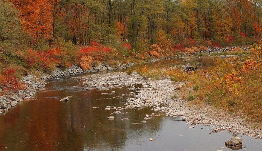 DIY Guide to Fly Fishing Spring Creek in Pennsylvania | DIY Fly Fishing