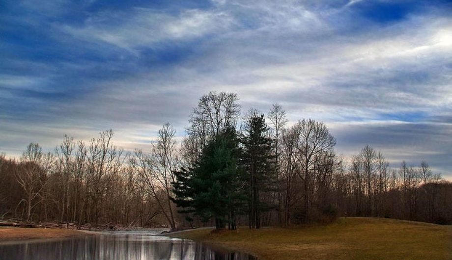 DIY Guide to Fly Fishing Spring Creek in Pennsylvania | DIY Fly Fishing