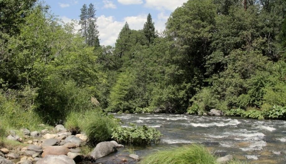 DIY Guide to Fly Fishing the Mokelumne River in California | DIY Fly ...