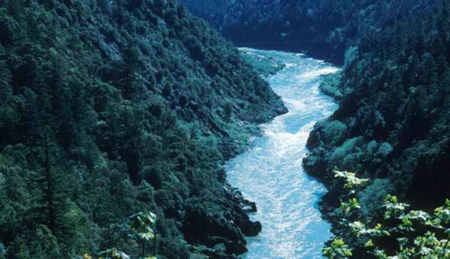 DIY Guide to Fly Fishing the Pit River in California | DIY Fly Fishing