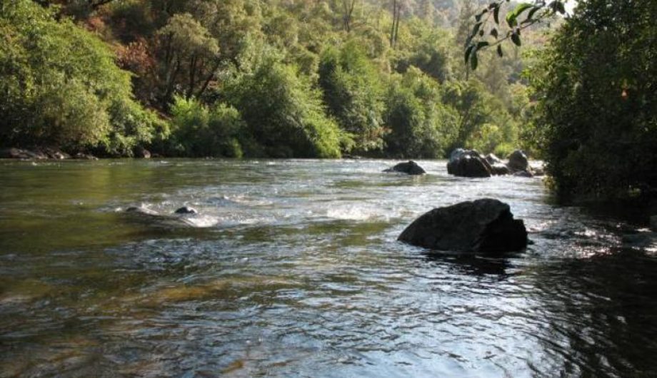 DIY Guide to Fly Fishing the Pit River in California | DIY Fly Fishing