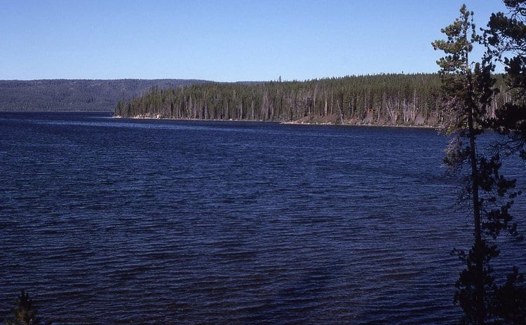 DIY Guide to Fly Fishing Shoshone Lake in Yellowstone National Park ...