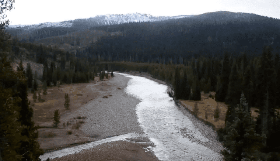 DIY Guide to Fly Fishing Lamar River in Yellowstone National Park | DIY ...