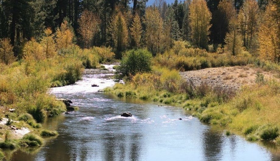 DIY Guide to Fly Fishing Merced River in California | DIY Fly Fishing