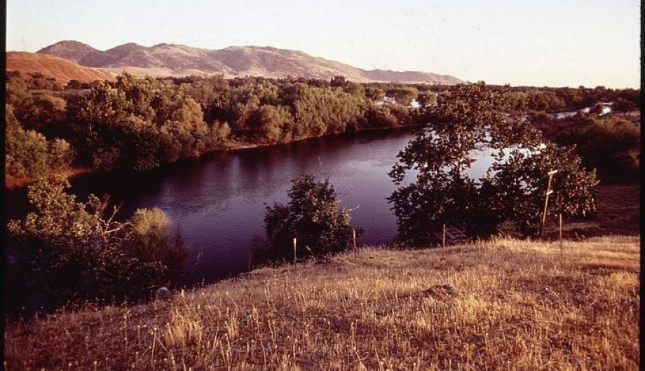 DIY Guide to Fly Fishing the Pit River in California | DIY Fly Fishing