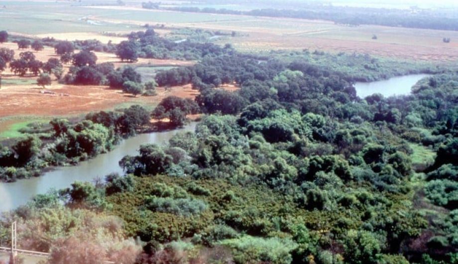 DIY Guide to Fly Fishing the Pit River in California | DIY Fly Fishing