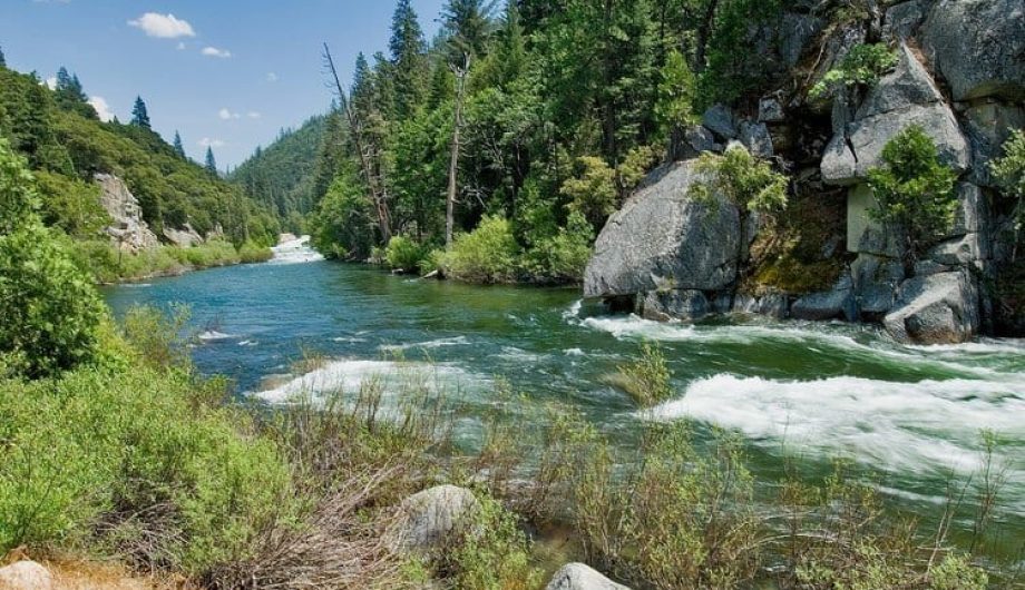 DIY Guide to Fly Fishing the Pit River in California | DIY Fly Fishing