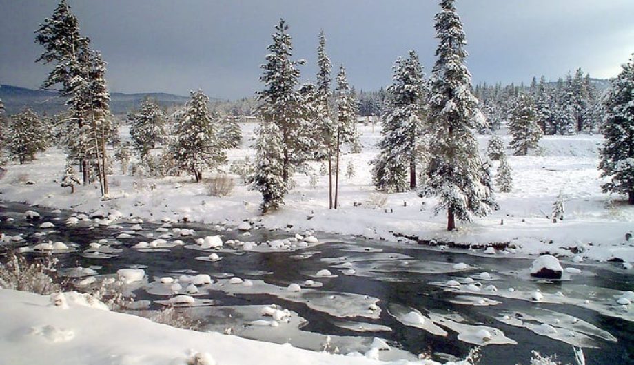 DIY Guide to Fly Fishing the McCloud River in California | DIY Fly Fishing