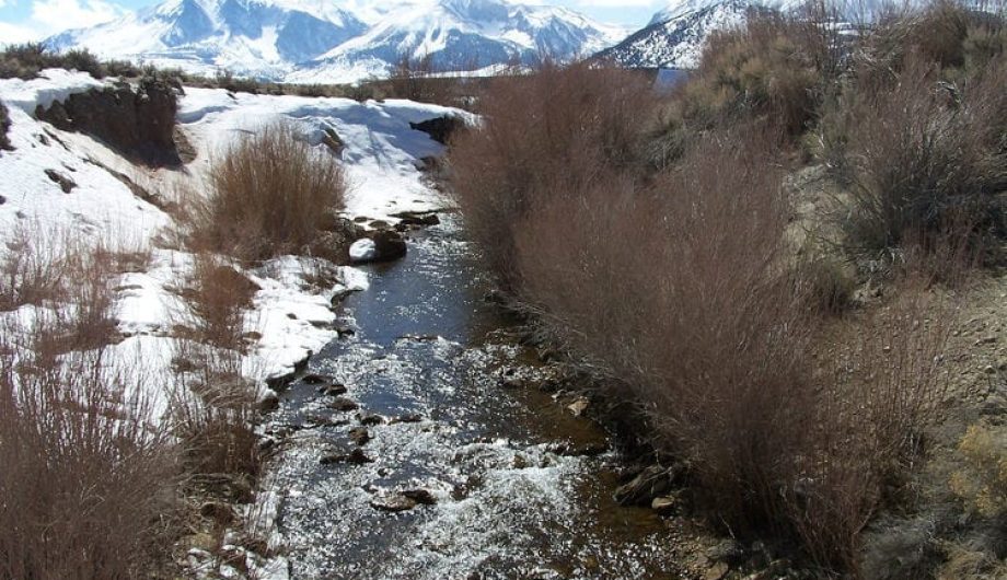 DIY Guide to Fly Fishing the Pit River in California | DIY Fly Fishing