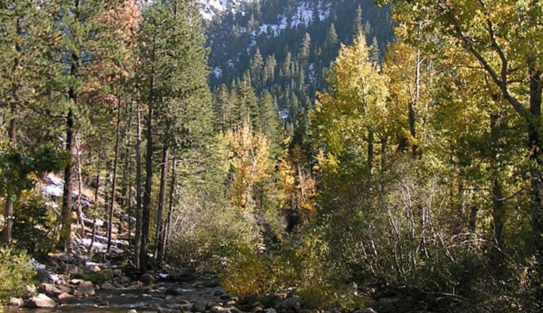 DIY Guide to Fly Fishing the West Carson River in California | DIY Fly ...