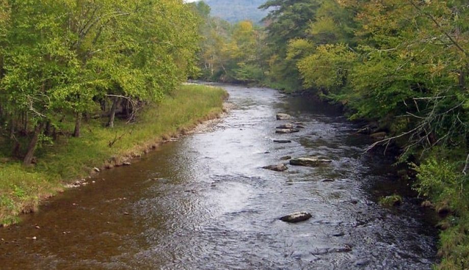 DIY Guide to Fly Fishing Kinderhook Creek in New York | DIY Fly Fishing