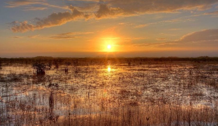 DIY Guide to Fly Fishing in Acadia National Park | DIY Fly Fishing