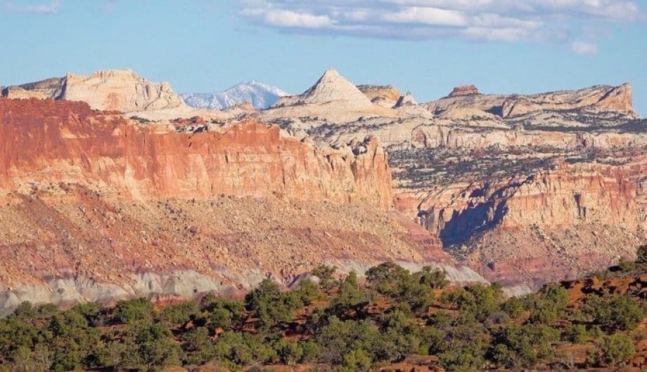 DIY Guide to Fly Fishing in Zion National Park | DIY Fly Fishing
