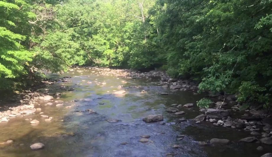 DIY Guide to Fly Fishing the Beaverkill River in New York | DIY Fly Fishing