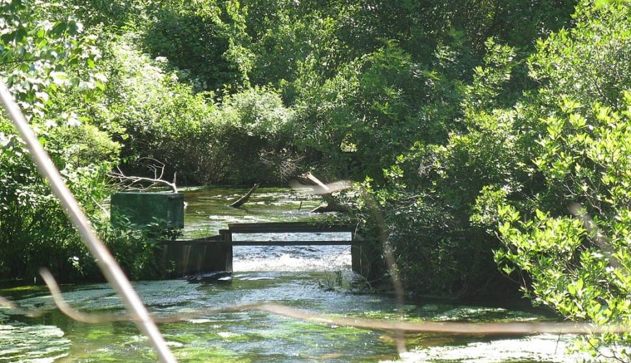 DIY Guide to Fly Fishing the Beaverkill River in New York | DIY Fly Fishing