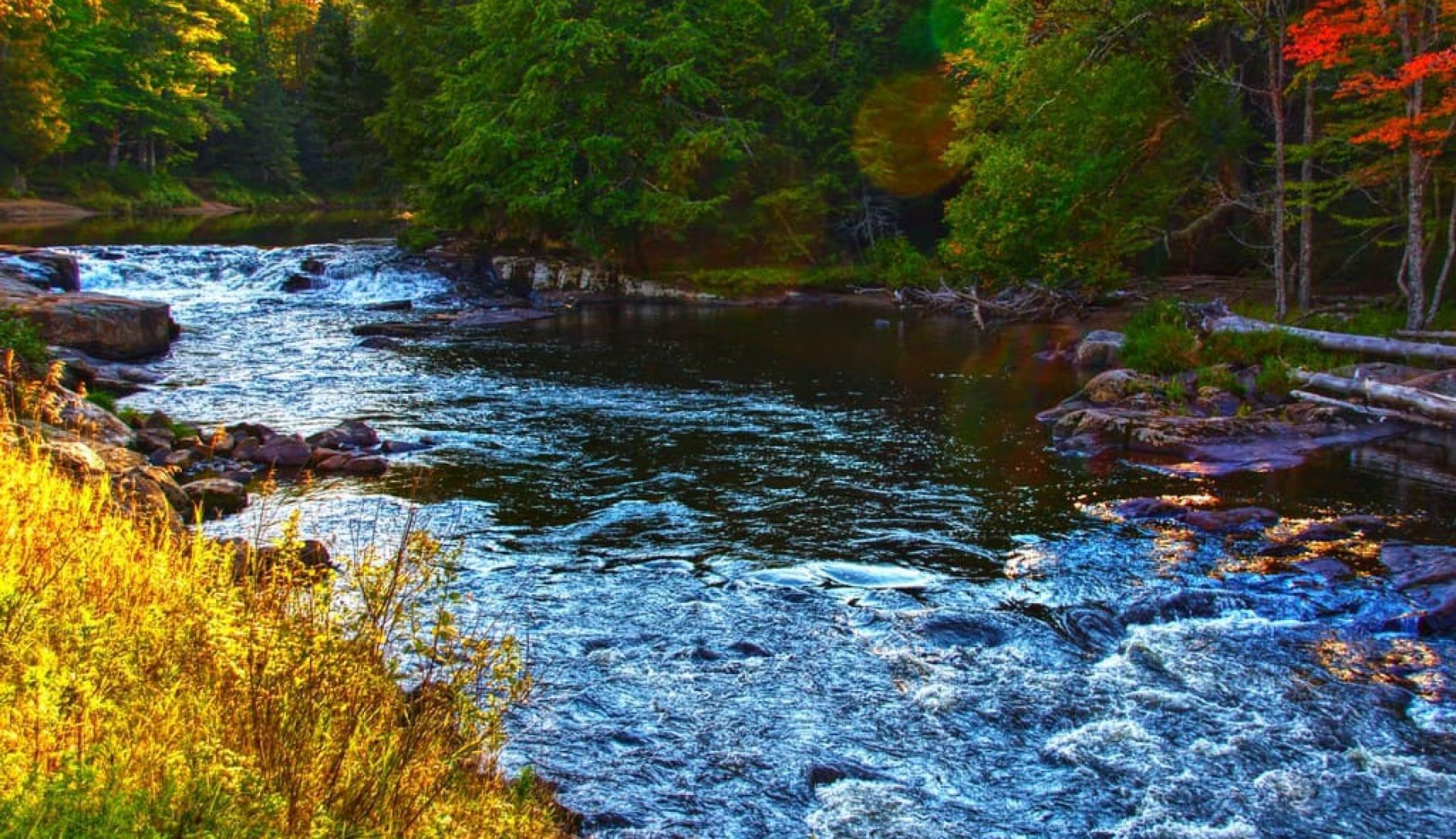 DIY Guide to Fly Fishing the Saranac River in New York | DIY Fly Fishing