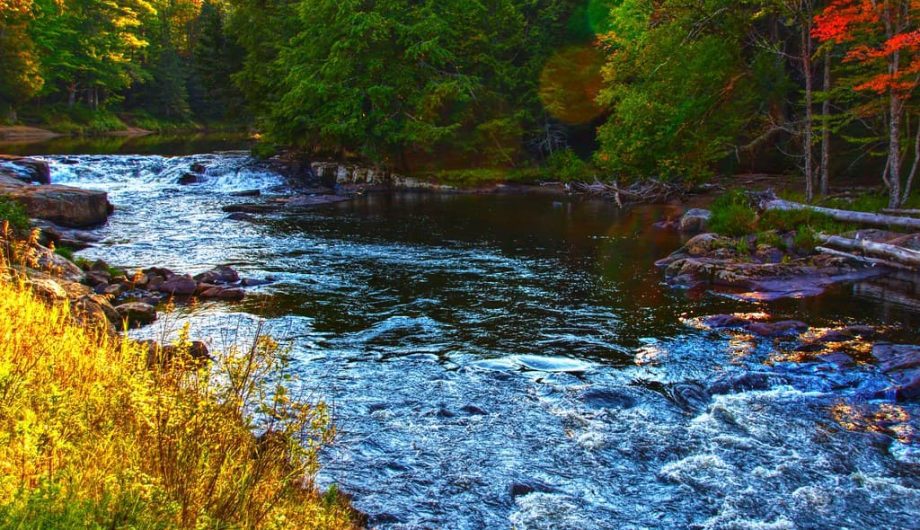 DIY Guide to Fly Fishing the Beaverkill River in New York | DIY Fly Fishing