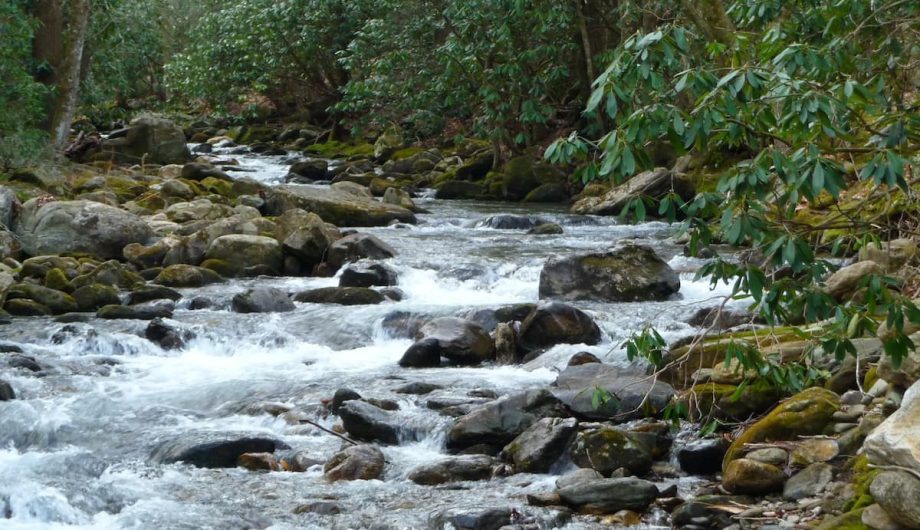 DIY Guide to Fly Fishing the North Toe River in North Carolina | DIY ...