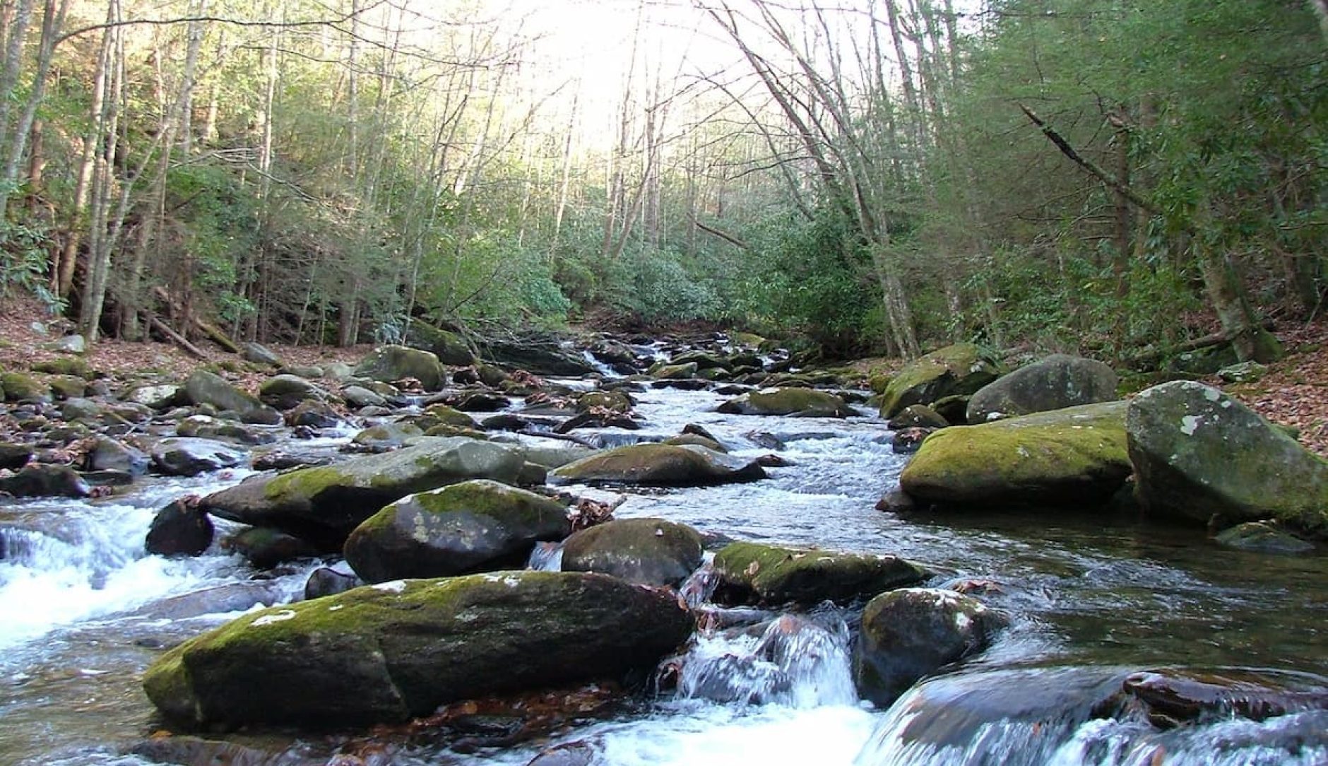 DIY Guide to Fly Fishing Slickrock Creek in North Carolina | DIY Fly ...