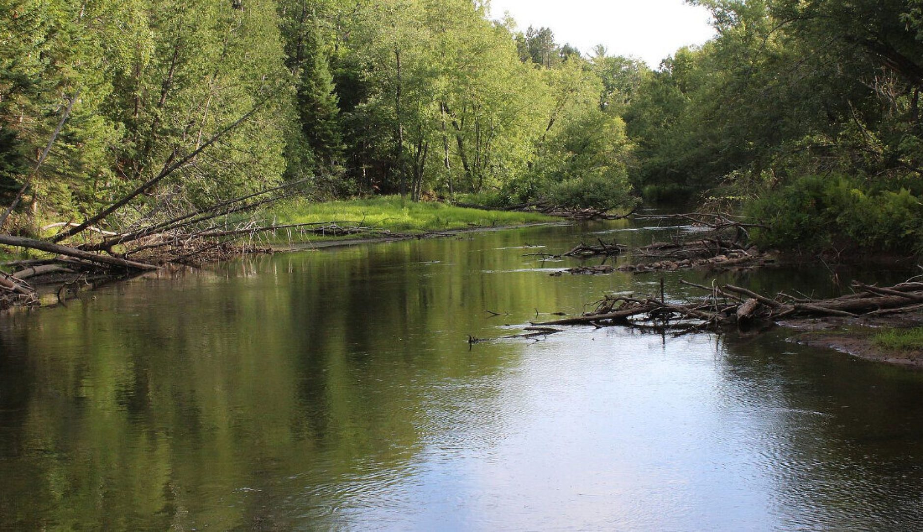 DIY Guide to Fly Fishing the Black River in Michigan | DIY Fly Fishing