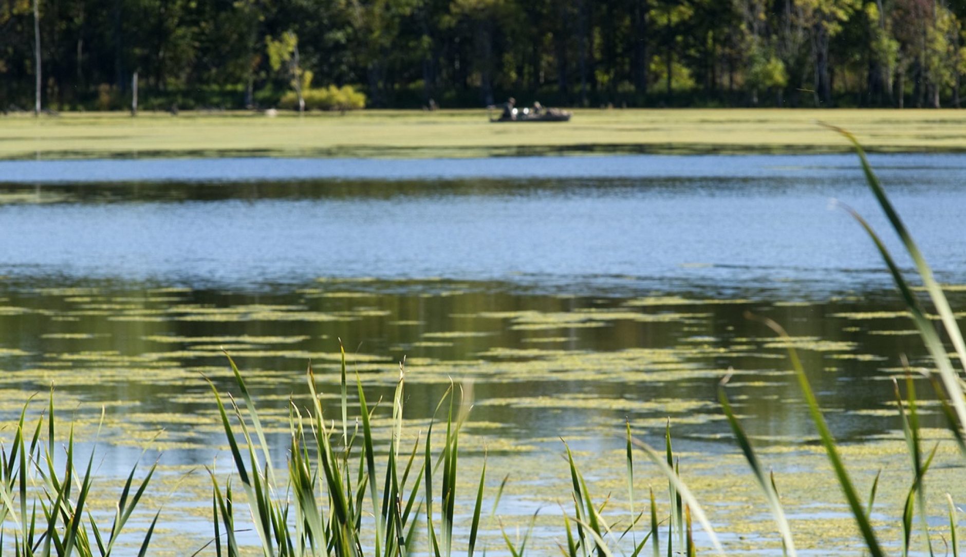 DIY Guide to Fly Fishing the Maple River in Michigan | DIY Fly Fishing