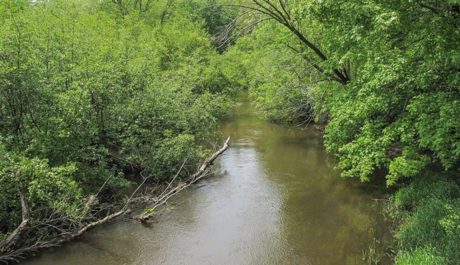 DIY Guide to Fly Fishing the Two Hearted River in Michigan | DIY Fly ...