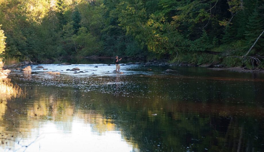 DIY Guide to Fly Fishing the Pine River in Michigan | DIY Fly Fishing