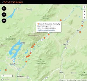 DIY Guide to Fly Fishing the West Branch Ausable River in New York ...