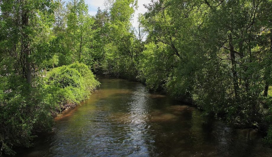 DIY Guide to Fly Fishing the Two Hearted River in Michigan | DIY Fly ...