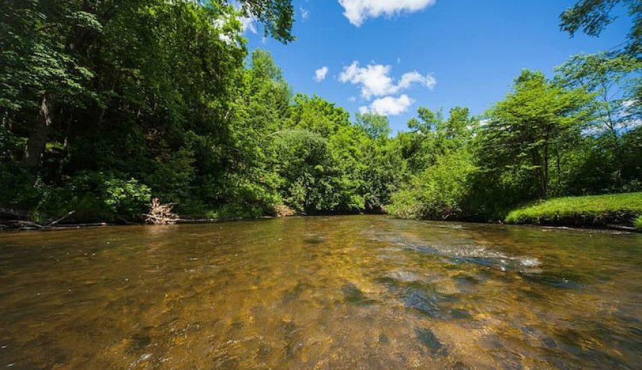 DIY Guide to Fly Fishing the Two Hearted River in Michigan | DIY Fly ...