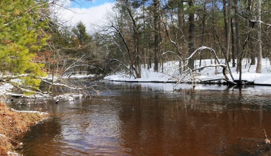 DIY Guide to Fly Fishing the Two Hearted River in Michigan | DIY Fly ...