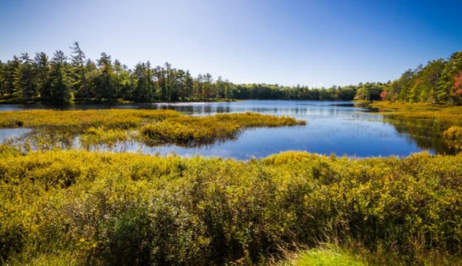 DIY Guide to Fly Fishing the Betsie River in Michigan | DIY Fly Fishing