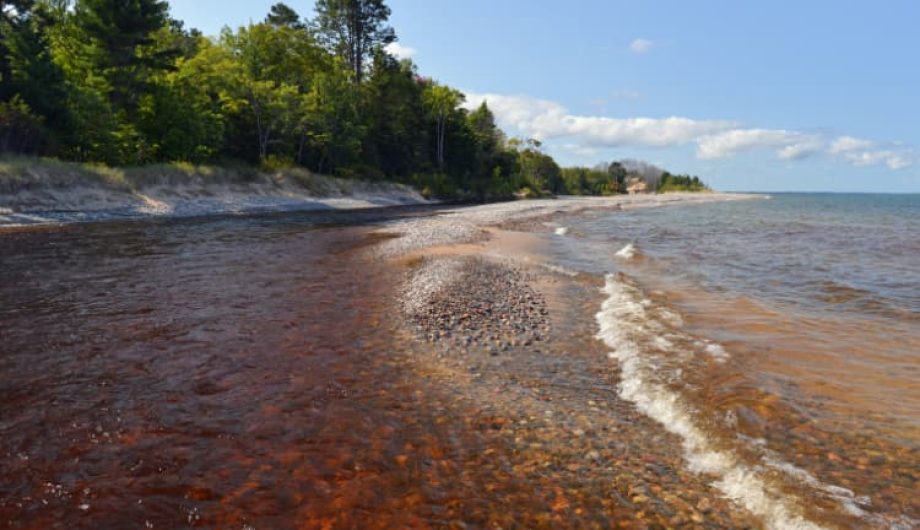 DIY Guide to Fly Fishing the Grand River in Michigan | DIY Fly Fishing