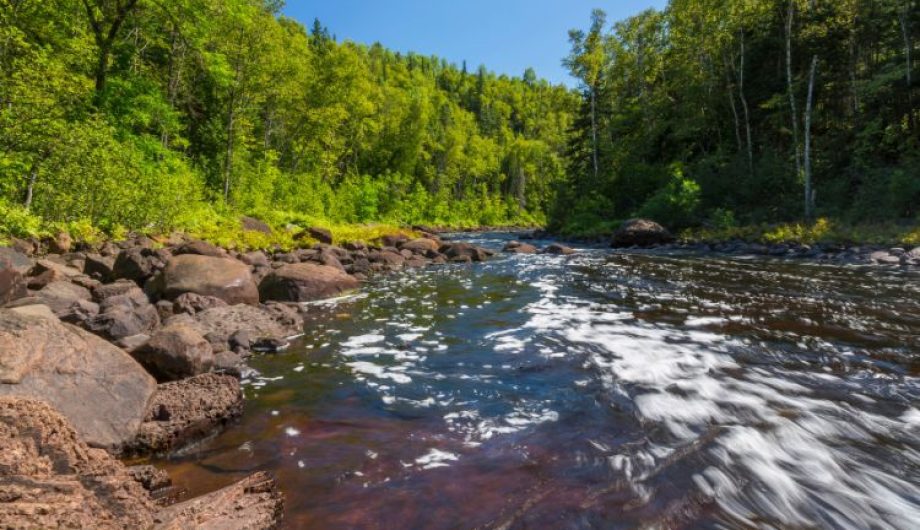 DIY Guide to Fly Fishing the Two Hearted River in Michigan | DIY Fly ...