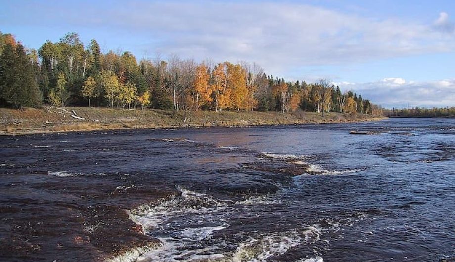 DIY Guide to Fly Fishing the Two Hearted River in Michigan | DIY Fly ...