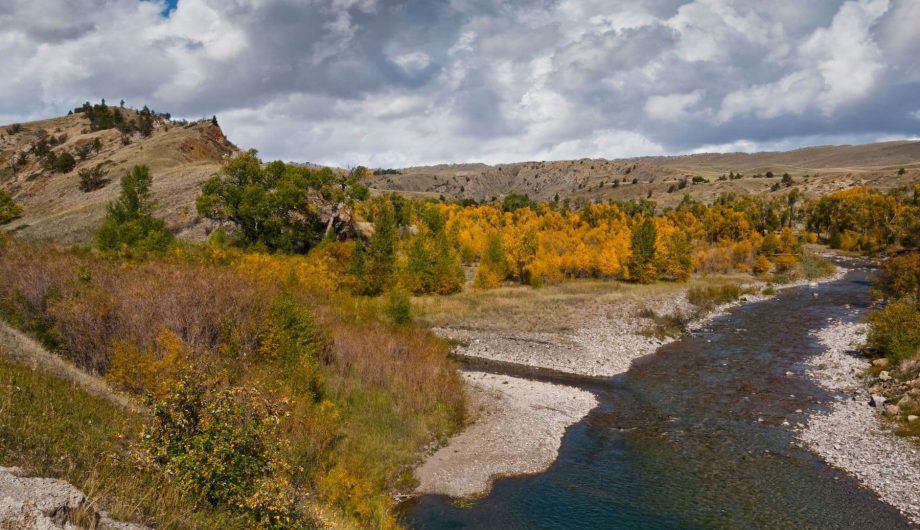 DIY Guide to Fly Fishing the Beaverhead River in Montana | DIY Fly Fishing