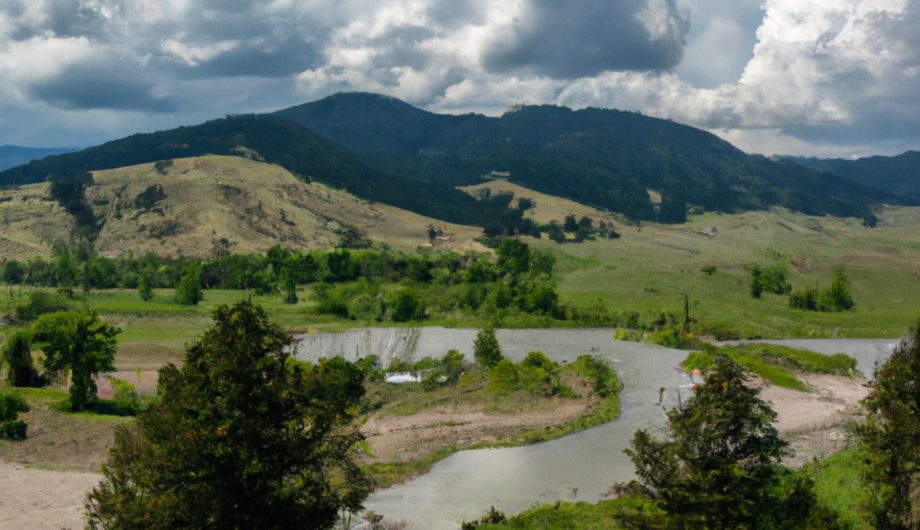 DIY Guide to Fly Fishing the Beaverhead River in Montana | DIY Fly Fishing