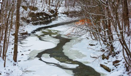 Home | DIY Fly Fishing