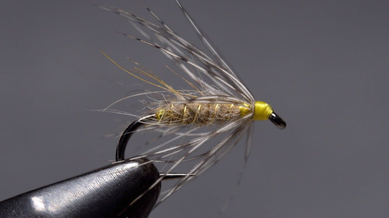 [Video] How to Tie the Leisenring Spider | DIY Fly Fishing