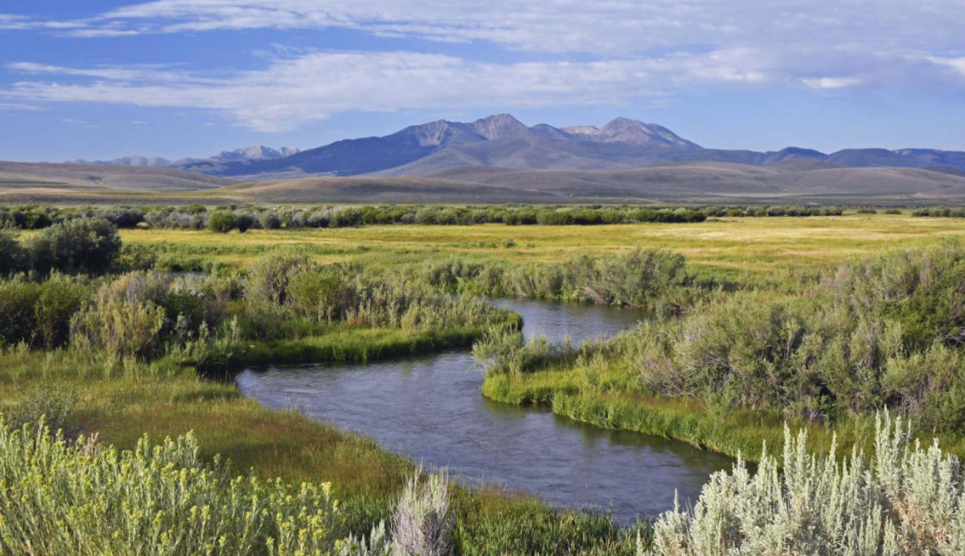 36 Best Places to Fly Fish in Montana: Map & Guide | DIY Fly Fishing