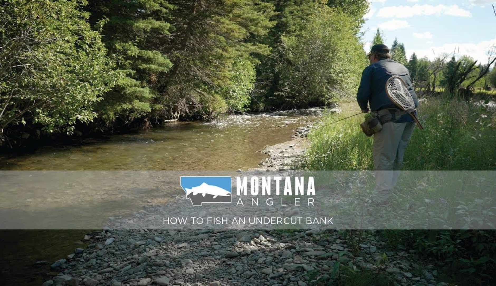 How To Fish An Undercut Bank with Terrestrials | DIY Fly Fishing