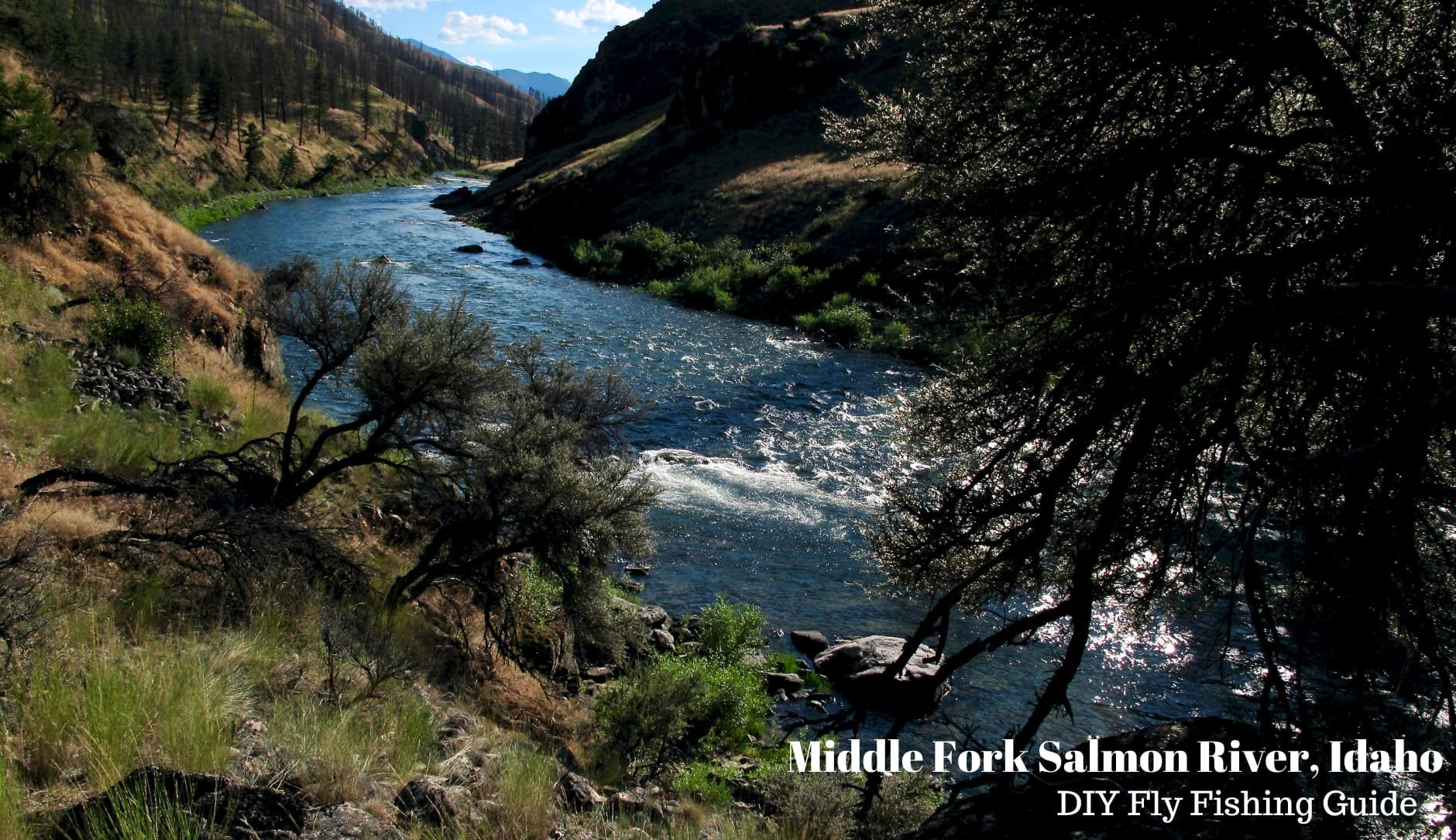 Fly Fishing Middle Fork Salmon River Idaho: Map & DIY Guide | DIY Fly ...