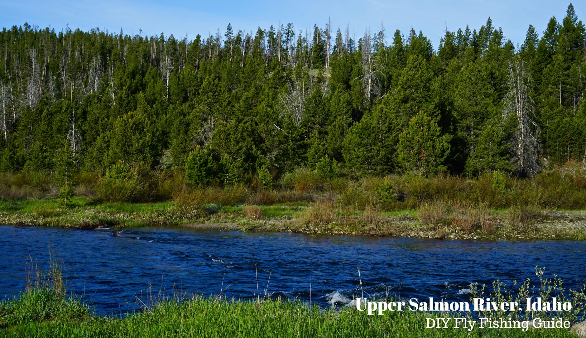 Upper Salmon River Idaho Fly Fishing: Map & Guide | DIY Fly Fishing